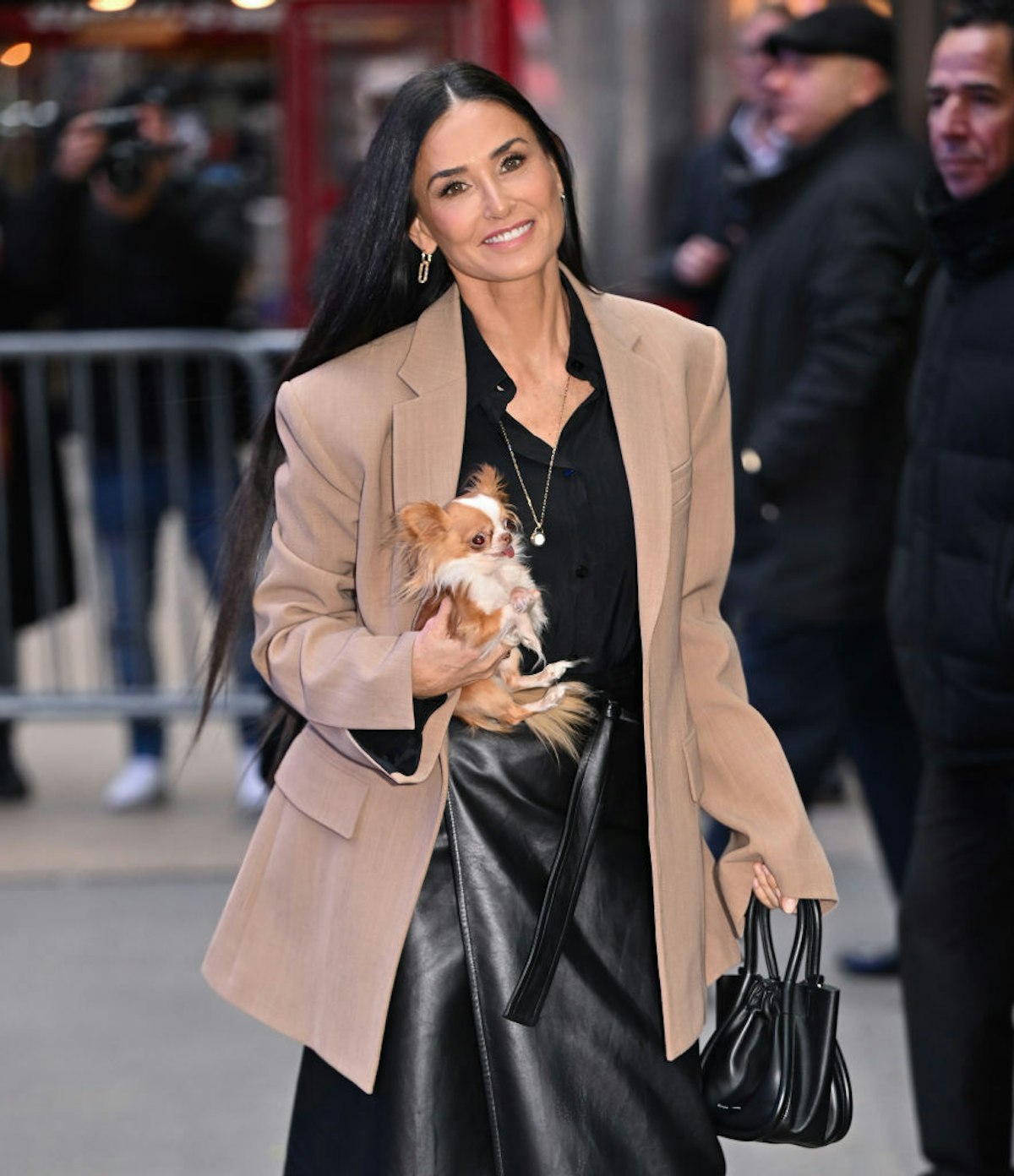 18 Luxury Pet Accessories for Those Who Are a Little Extra