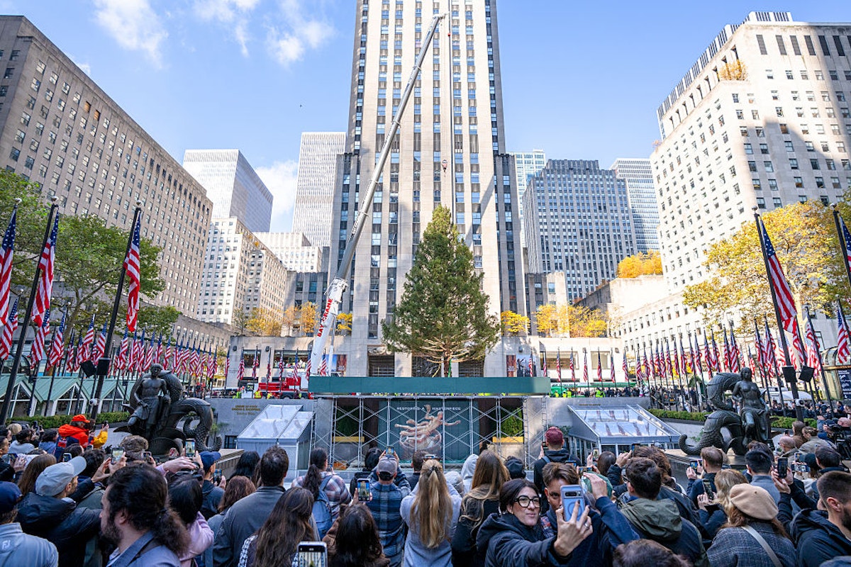 Everything You Need To Know About The 2025 Rockefeller Christmas Tree ...
