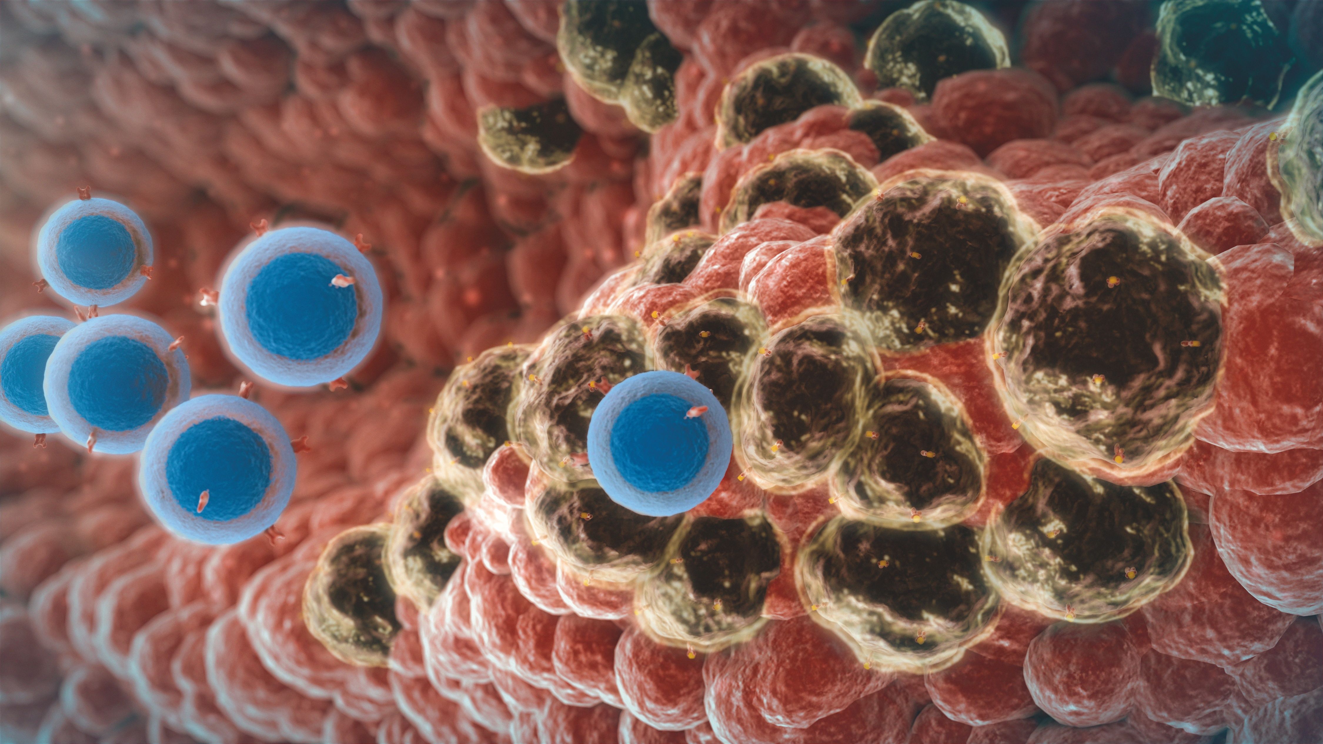 PPF Group | Insights