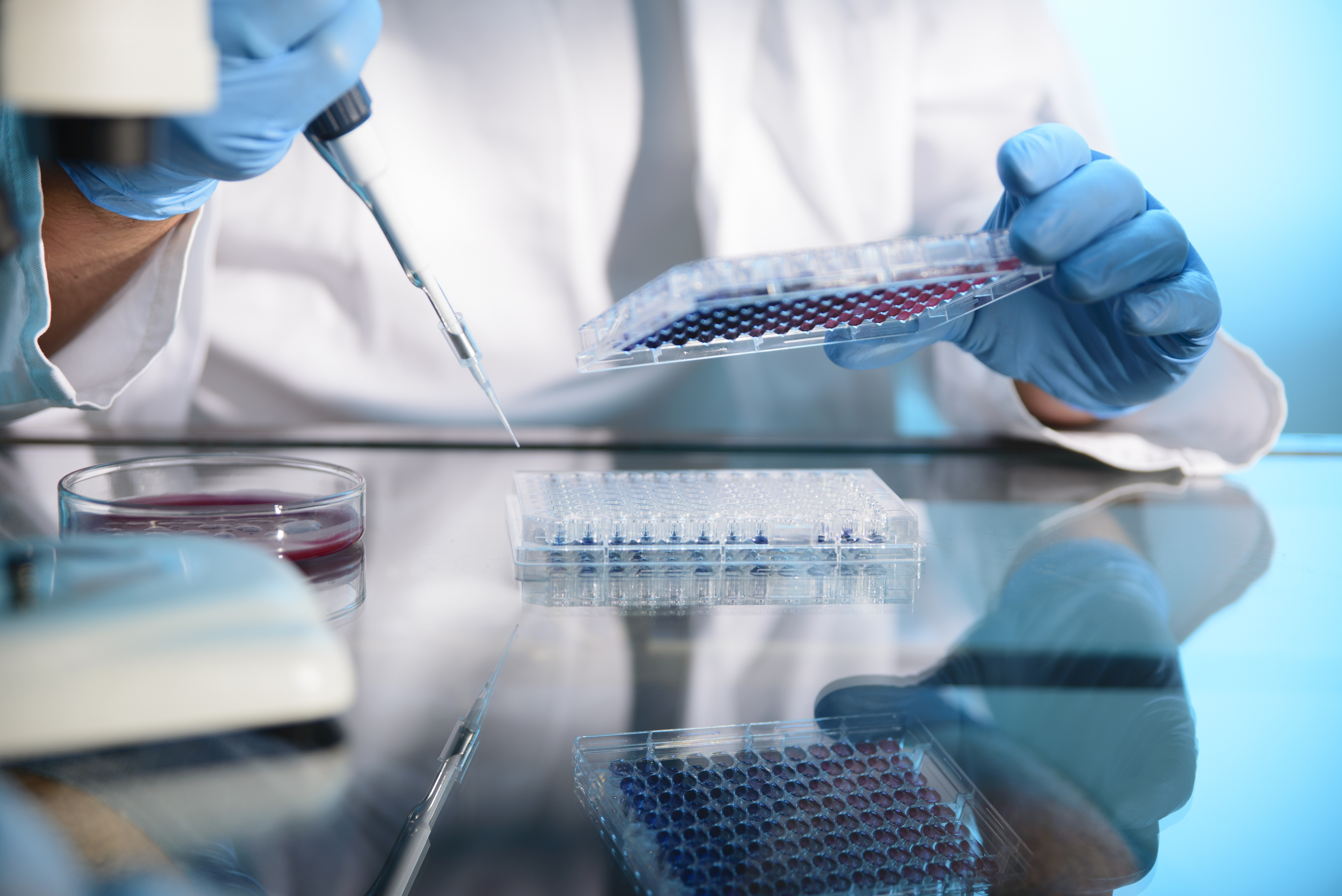 PPF Group | Jsme PPF