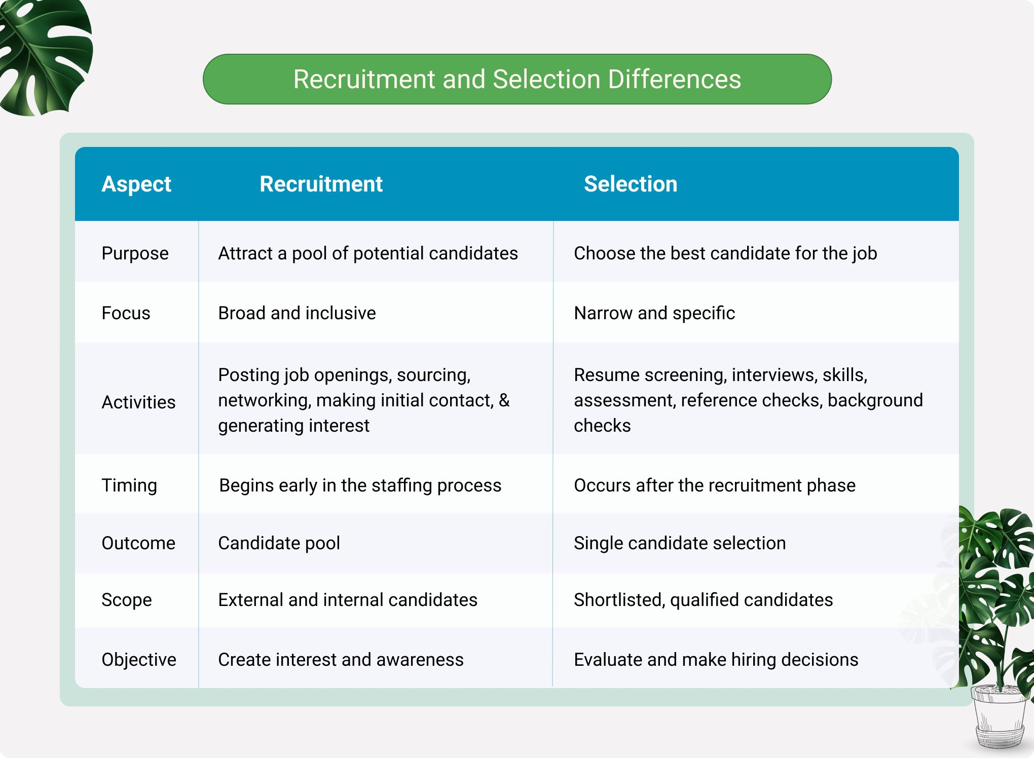 Recruitment and Selection Differences