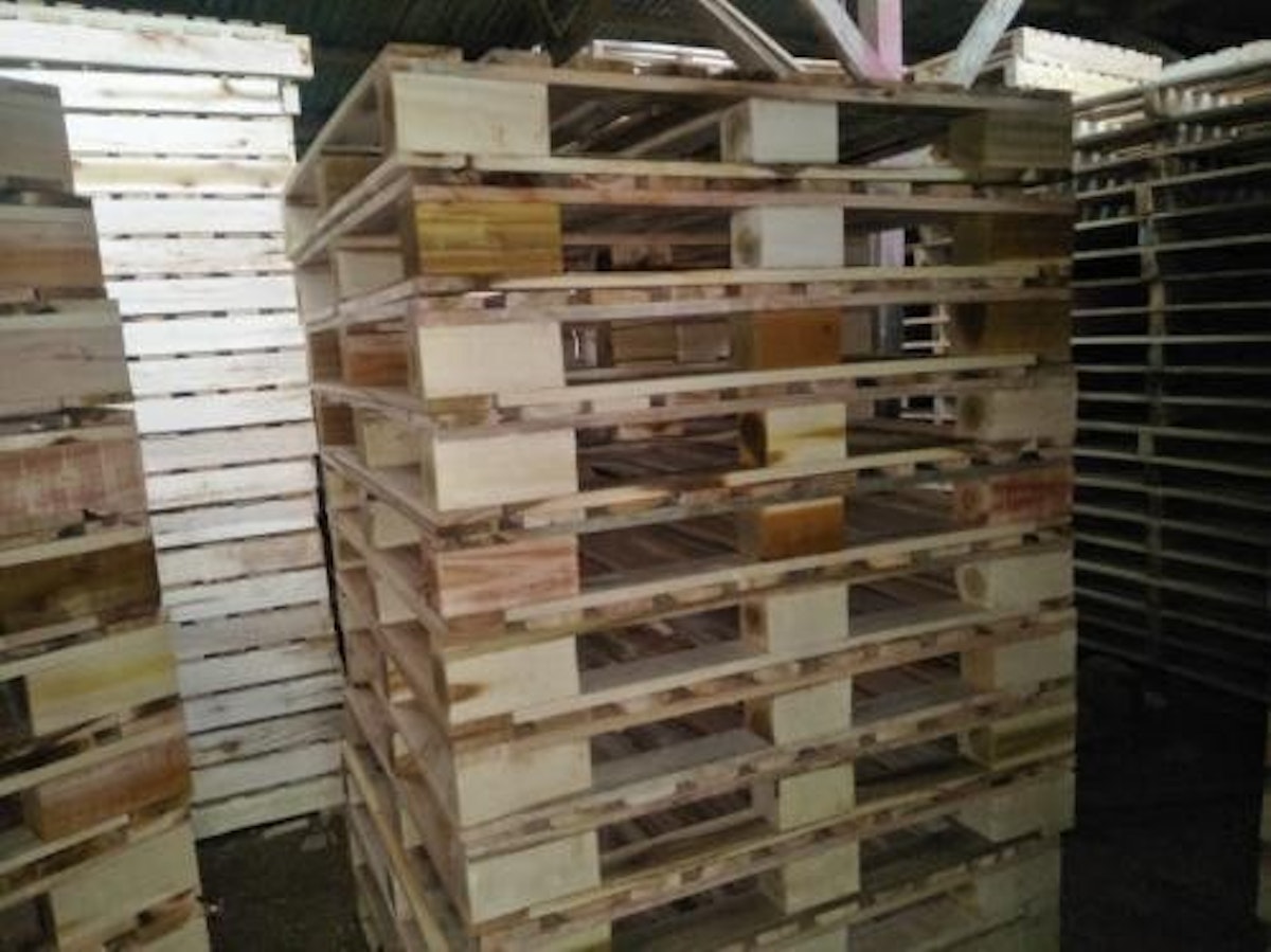 3 Tipe Pallet Kayu Baru & Bekas 120x100 cm Murah