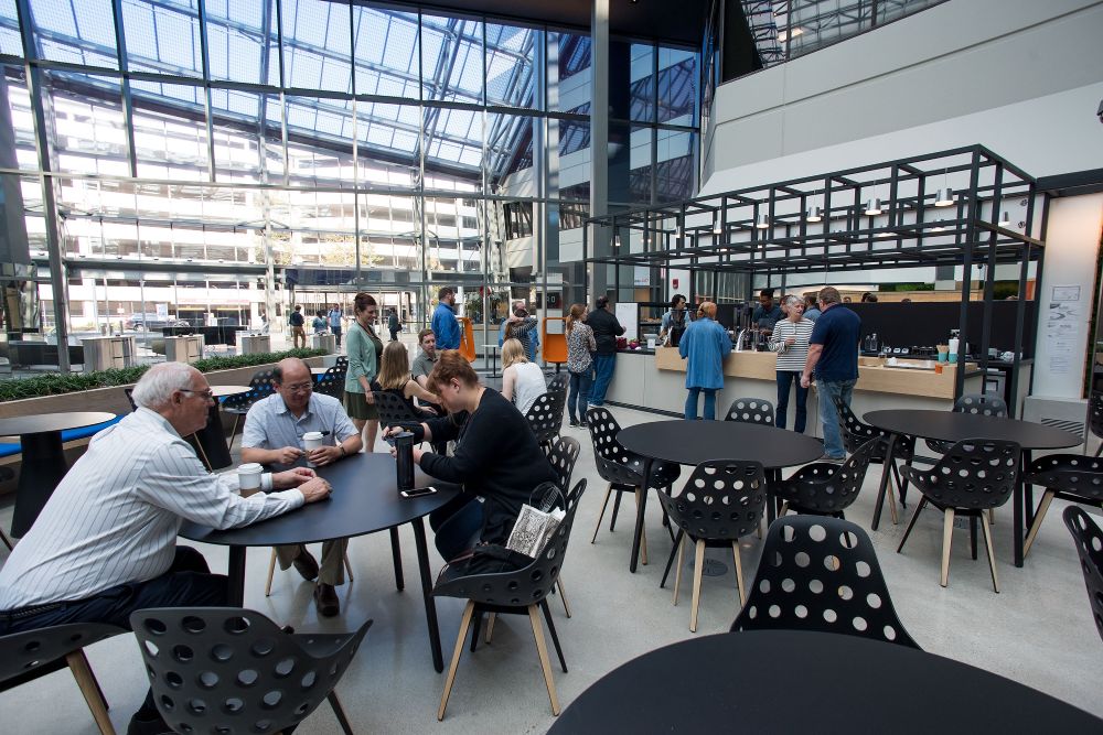 Draper Laboratory Project | Born to be different