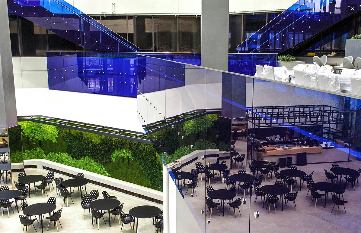 Draper Laboratory Project | Born to be different