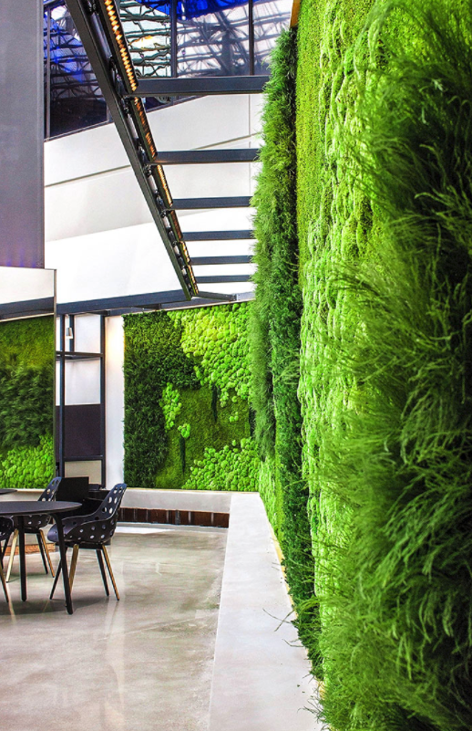 Draper Laboratory Project | Born to be different