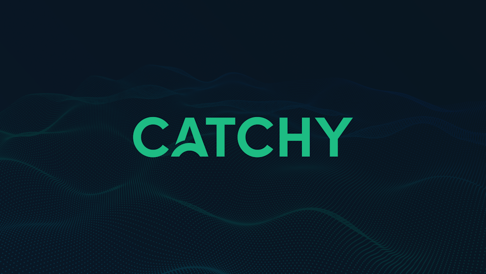 The Leading Developer Marketing Agency - Catchy