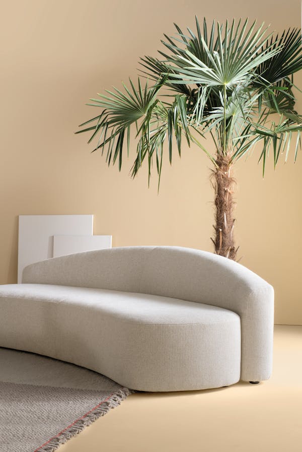 Quinti - Made in Italy chairs, armchairs and sofas