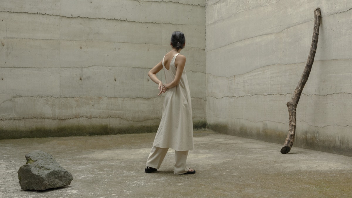 APARA: A Satorial Expression of the Times