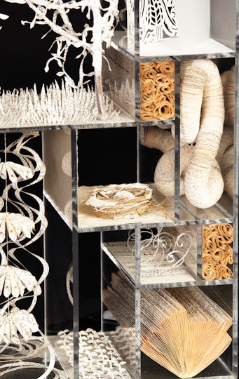 Hannah Clements | Art Gallery of NSW