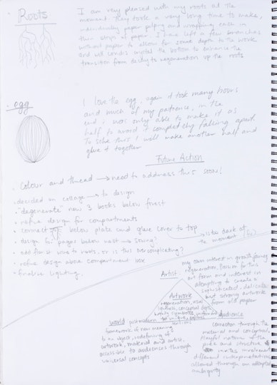 Hannah Clements | Art Gallery of NSW