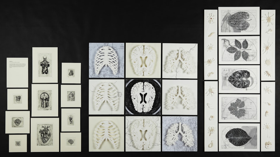 Amy Hamilton | Art Gallery of NSW