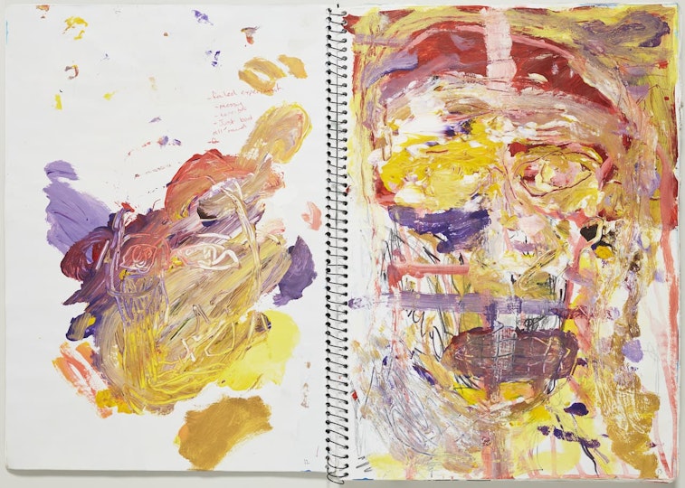 Joshua Merchant | Art Gallery of NSW