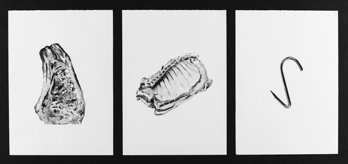 Max Suciu Gleeson | Art Gallery of NSW