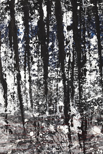 Alexander Martinoli | Art Gallery of NSW