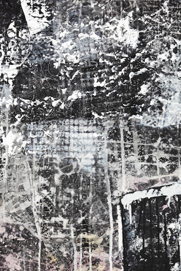 Alexander Martinoli | Art Gallery of NSW
