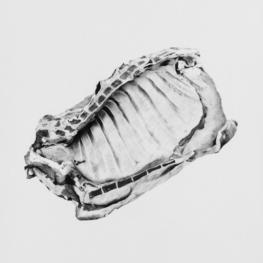 Max Suciu Gleeson | Art Gallery of NSW