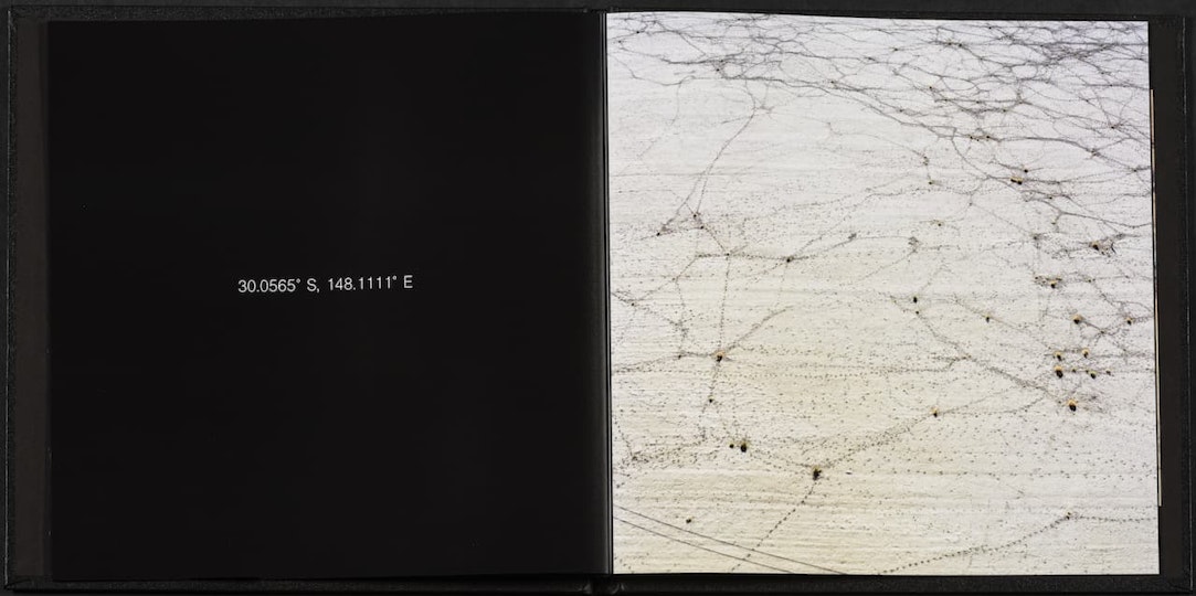 Ziggy Kugel | Art Gallery of NSW