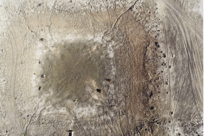 Ziggy Kugel | Art Gallery of NSW