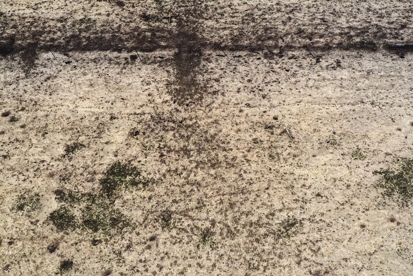 Ziggy Kugel | Art Gallery of NSW