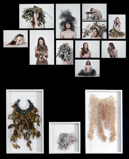 Maya Williams | Art Gallery of NSW