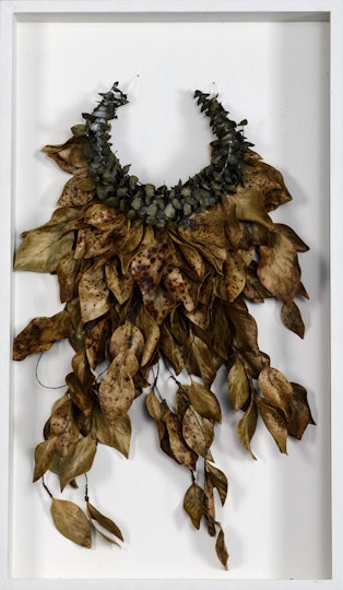 Maya Williams | Art Gallery of NSW