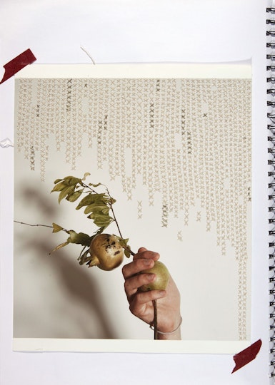Maya Williams | Art Gallery of NSW