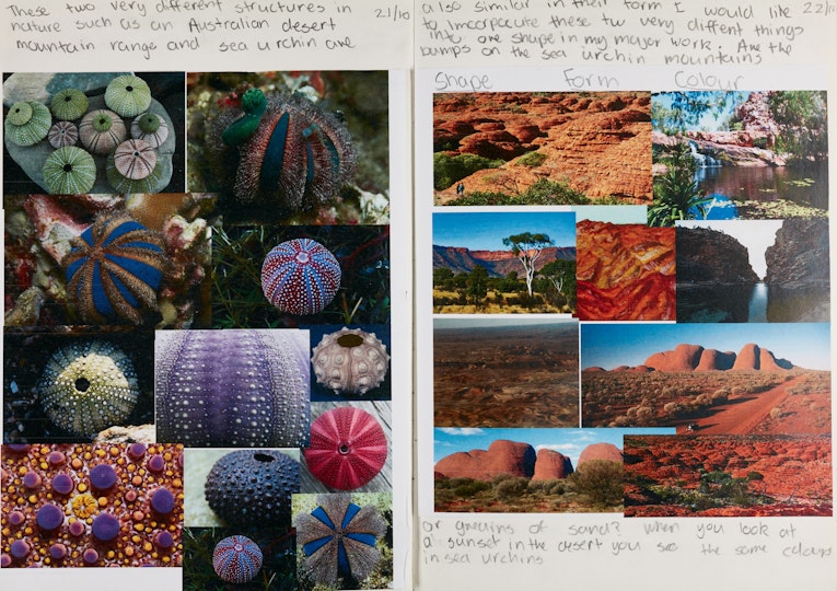 Amelia Lynch | Art Gallery of NSW