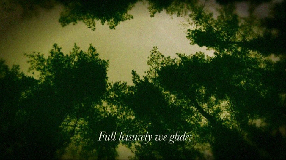 Emily Christison | Art Gallery of NSW