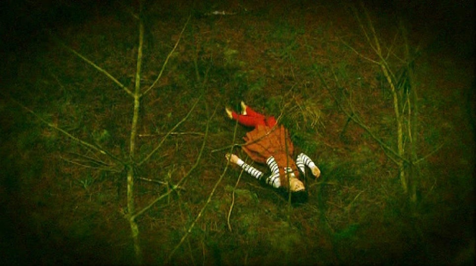 Emily Christison | Art Gallery of NSW