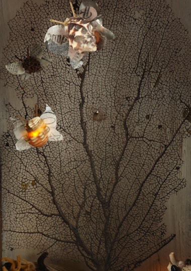 Isabella Rich | Art Gallery of NSW