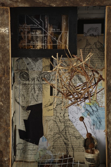 Isabella Rich | Art Gallery of NSW