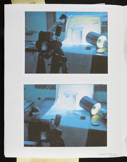 Sam Wickham | Art Gallery of NSW