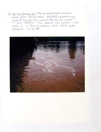 Riley Field | Art Gallery of NSW