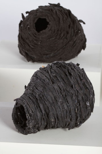 Allara La Ferla | Art Gallery of NSW