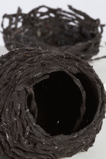 Allara La Ferla | Art Gallery of NSW