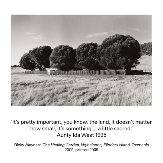 This Land is Mine, This Land is Me | Art Gallery of NSW