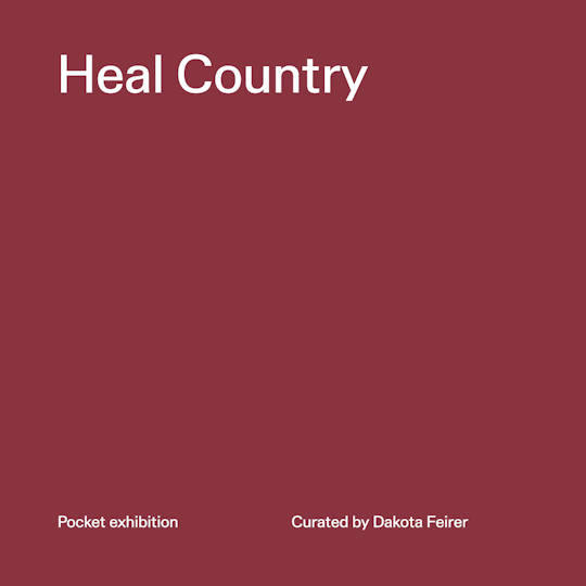 Heal Country | Art Gallery of NSW