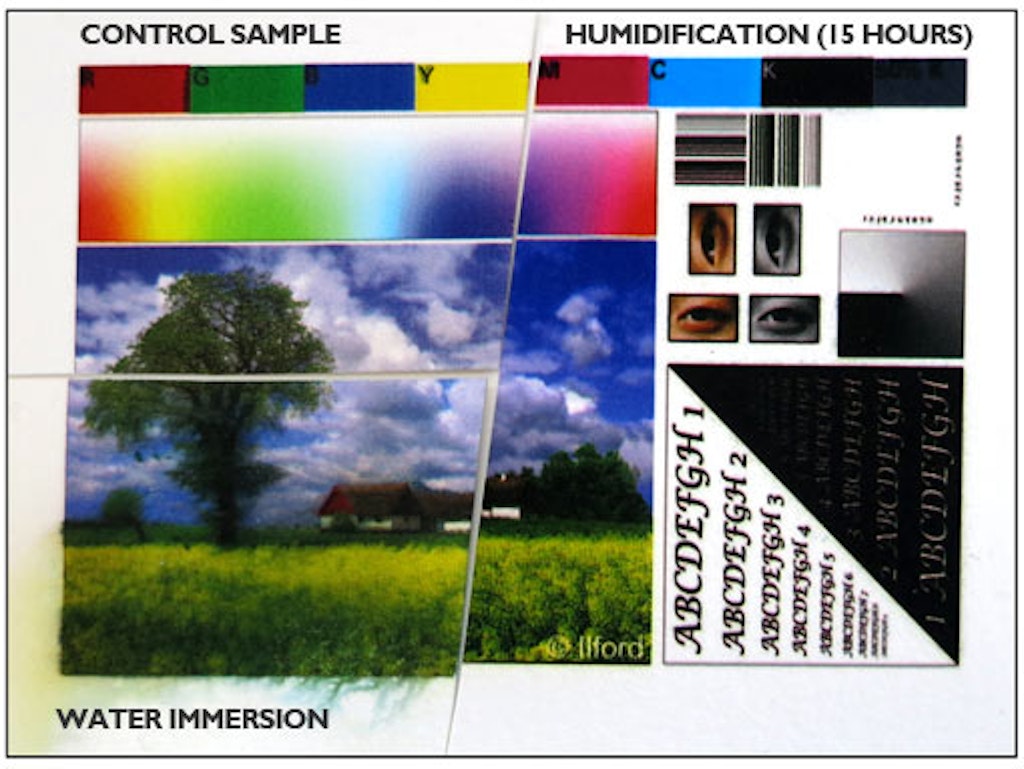 The desktop photographs | Art Gallery of NSW