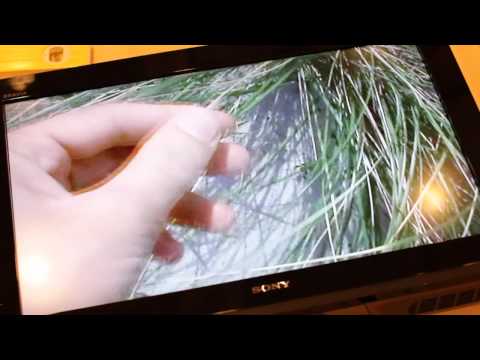 Unguided tours: Charlie Sofo | Art Gallery of NSW