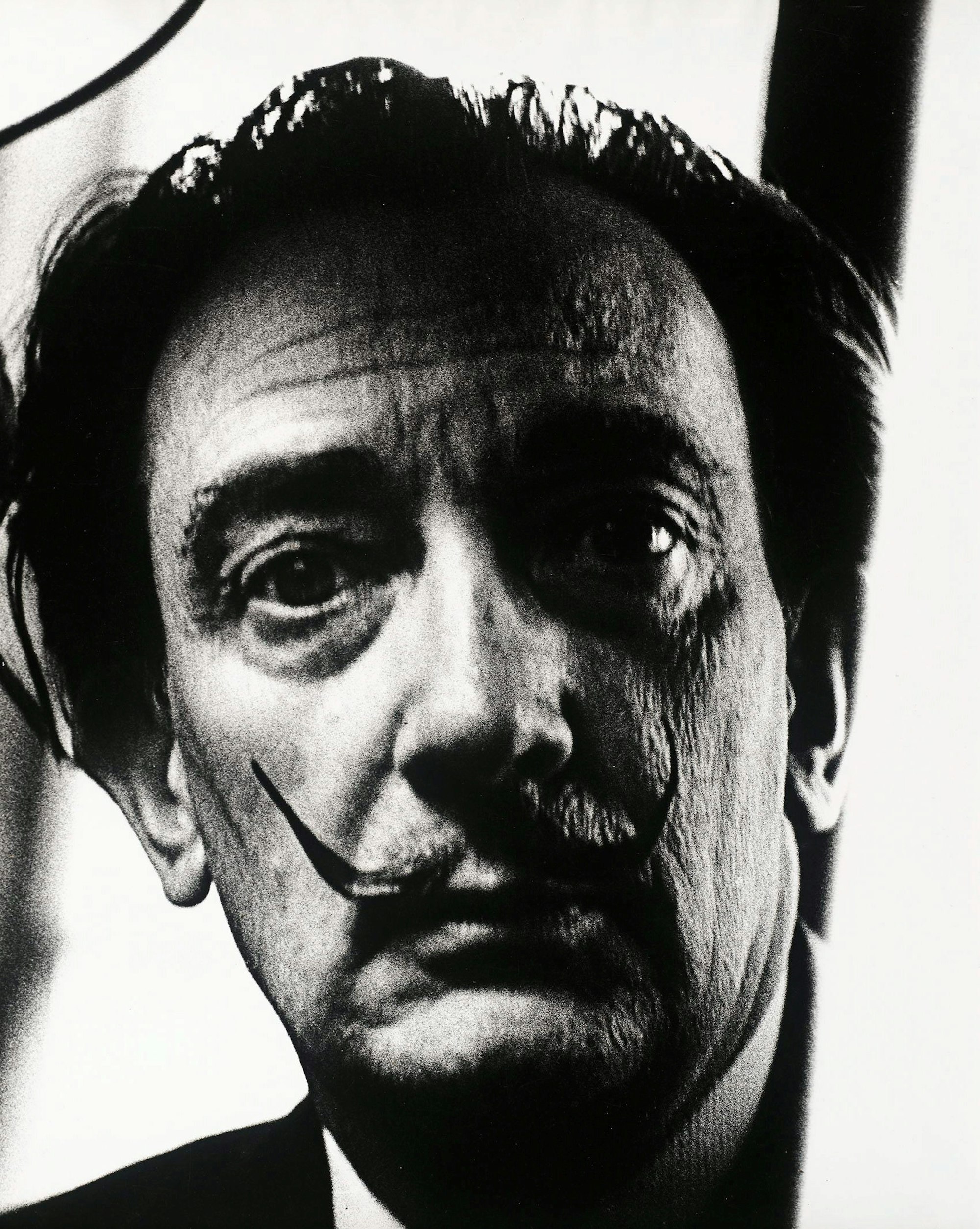 Dali made home movies too | Art Gallery of NSW