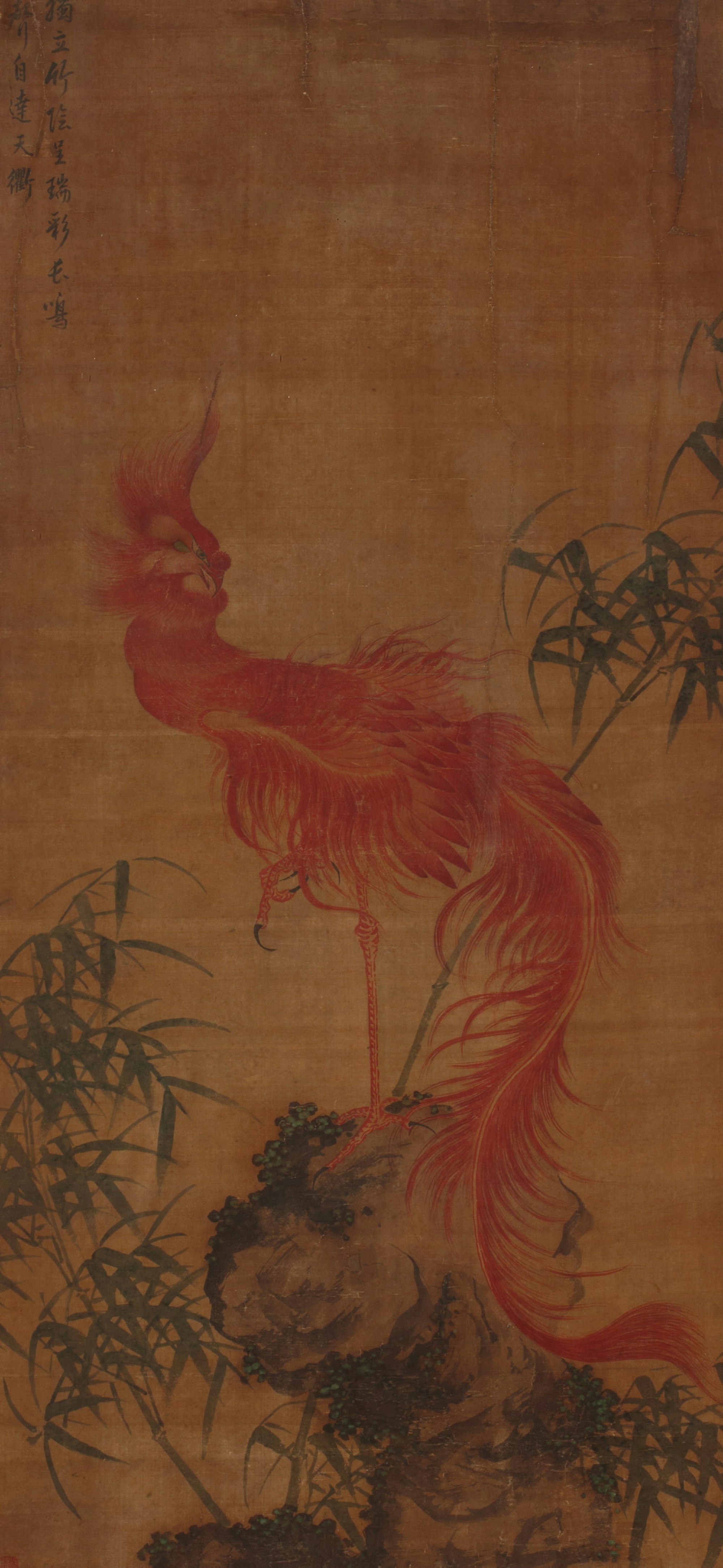 Red phoenix, 1800s | Art Gallery of NSW