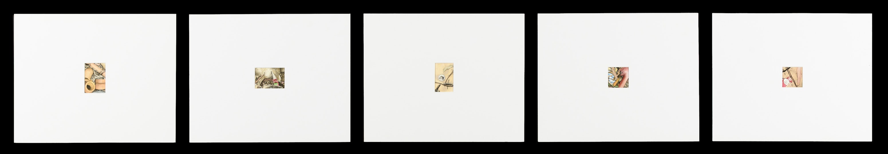 Alicia Foley | Art Gallery of NSW