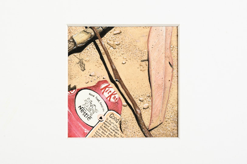Alicia Foley | Art Gallery of NSW