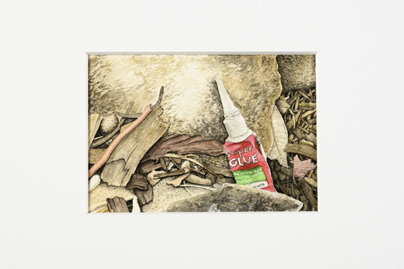 Alicia Foley | Art Gallery of NSW