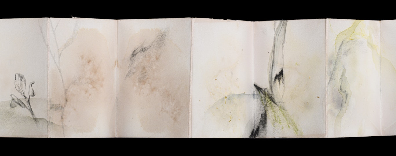 Imogen Kate Ladmore | Art Gallery of NSW