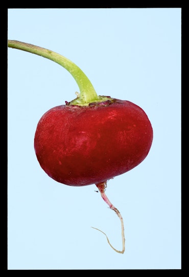 Matthew Zabel | Art Gallery of NSW