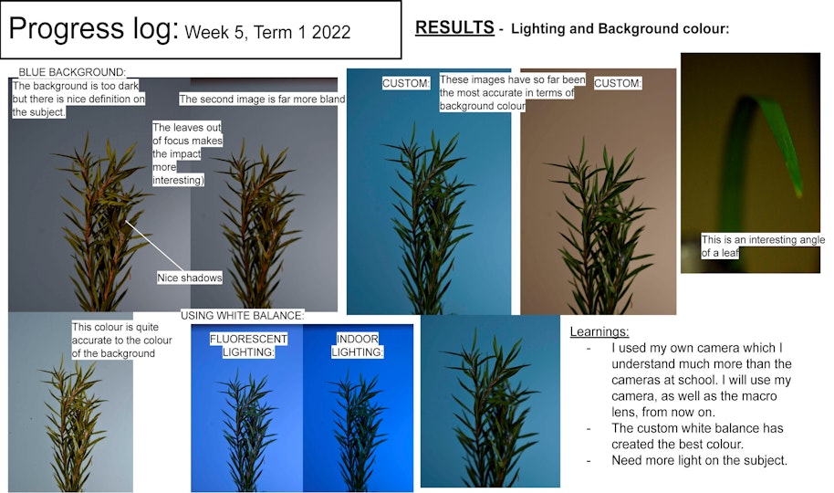 Matthew Zabel | Art Gallery of NSW