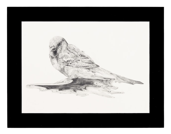 Kevin Kou | Art Gallery of NSW