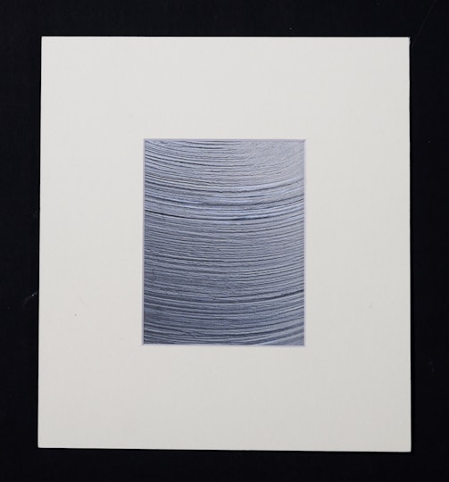 Eleni Dimitropoulos | Art Gallery of NSW