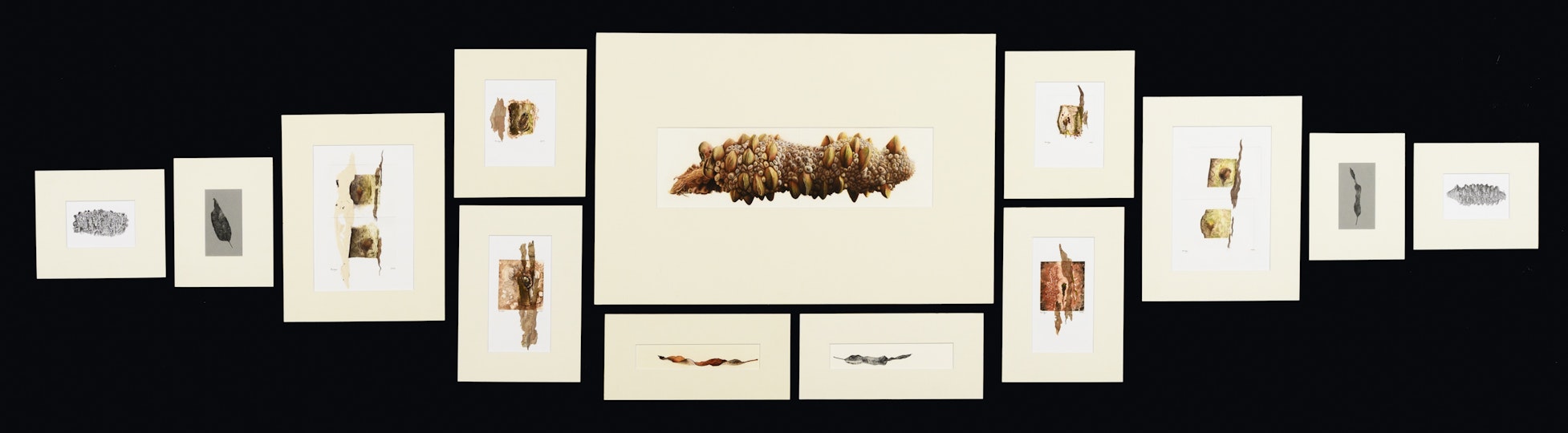 Emma Simpson | Art Gallery of NSW